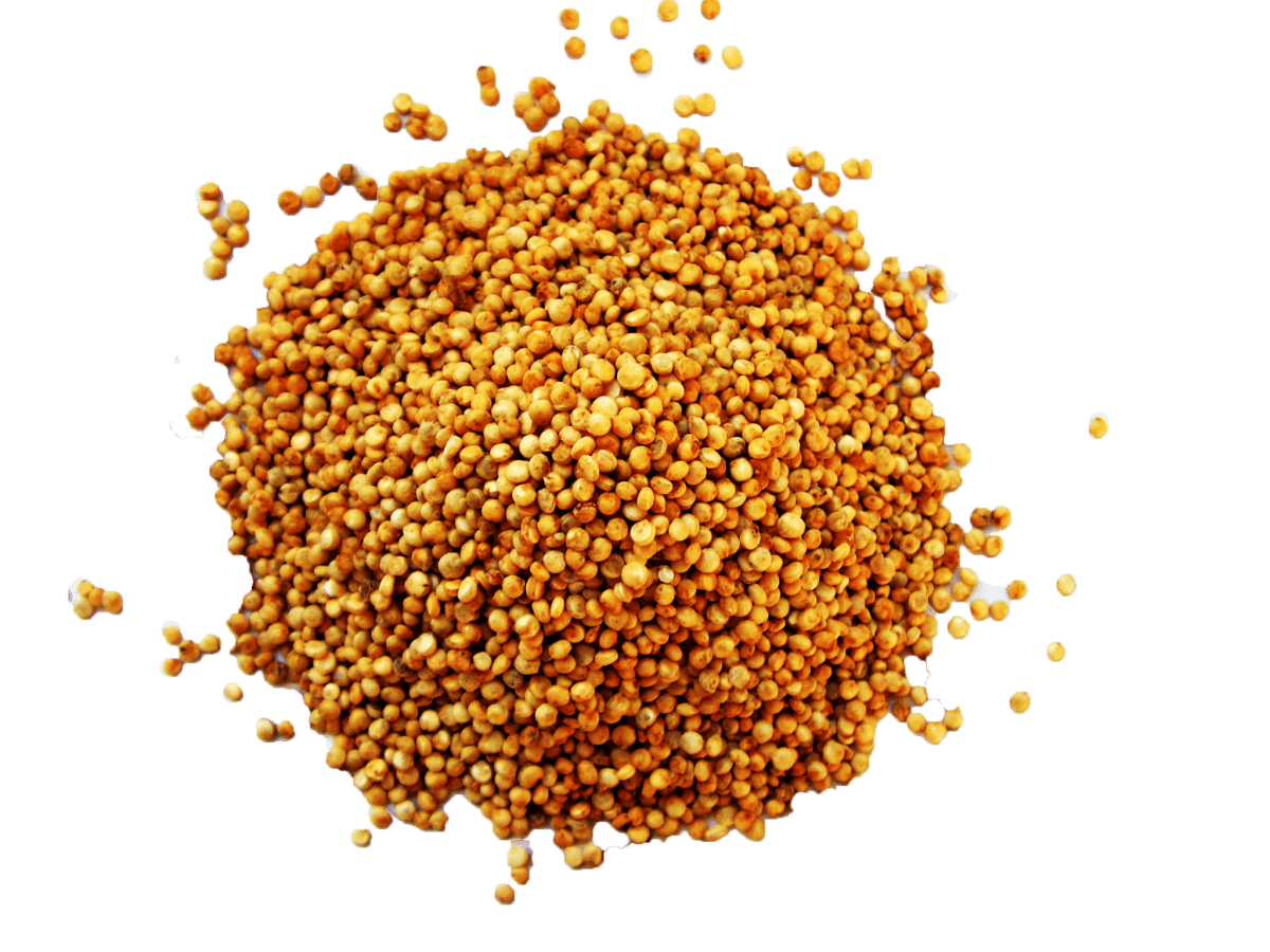 "QUINOA" UN CEREAL MILAGROSO - pilpileando