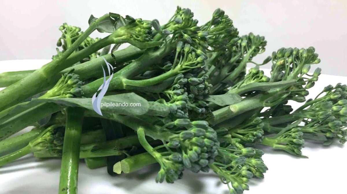 BIMI, QUÉ ES ? ~ Guille Rodríguez